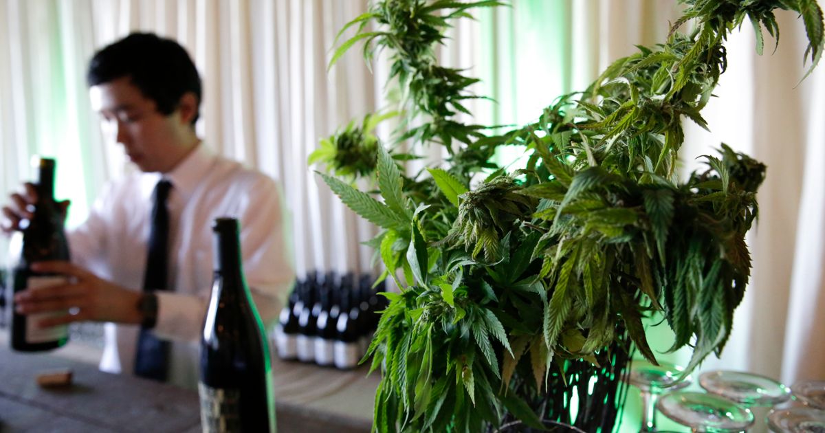 What happens if alcohol and marijuana mix? - Macleans.ca